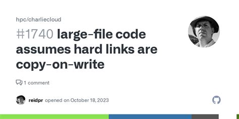Large File Code Assumes Hard Links Are Copy On Write · Issue 1740
