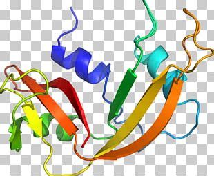 Line Euclidean PNG Clipart Abstract Lines Angle Area Art