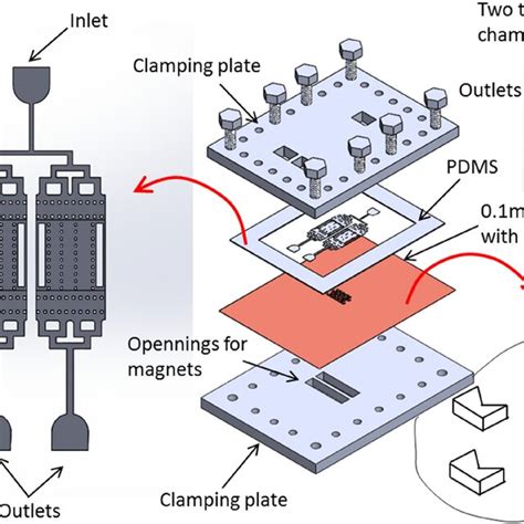 The Tested Microfluidic Device With Two Chambers And 200 µm × 200 µm