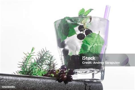 베리 칵테일 민트 바 카운터 화이트 배경의 가장자리에 록스 유리에 얼음 봇 보기 클로즈업 수평 방향 0명에 대한 스톡 사진 및 기타 이미지 Istock