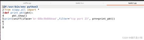 Lab1 Packet Sniffing And Spoofing Lab Csdn博客