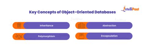 What Is An Object Oriented Database Intellipaat