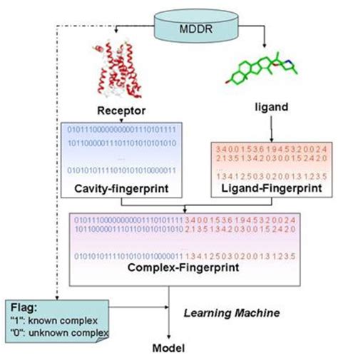 Building A Model From The Mddr Database Using Protein Ligand Fingerprints Download Scientific