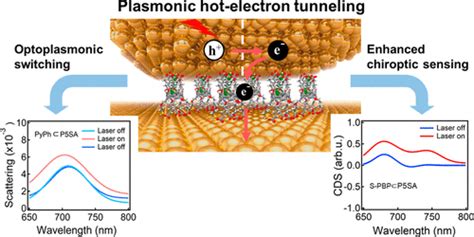 Charge Transfer Plasmons Enabled By Supramolecular Plug From Optoelectronic Switching To