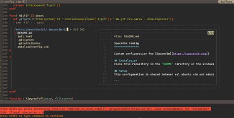 Bug Preview Option Preview Window Right Display Error Illegal Character In Neovim