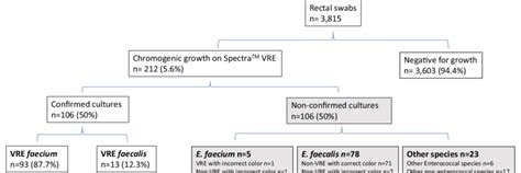Detection Of Vre With Spectra ™ Vre Agar In Rectal Swabs Growth Download Scientific Diagram