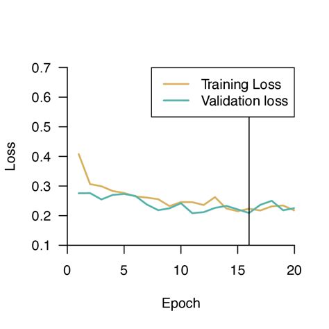 The Loss Calculations From A Successful Training Process The Training Download Scientific