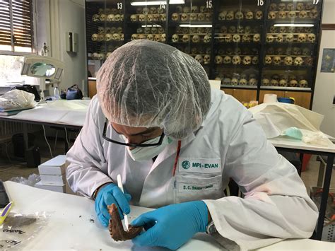 New Research Analyses The Evolution Of The Last Ten Thousand Years Of