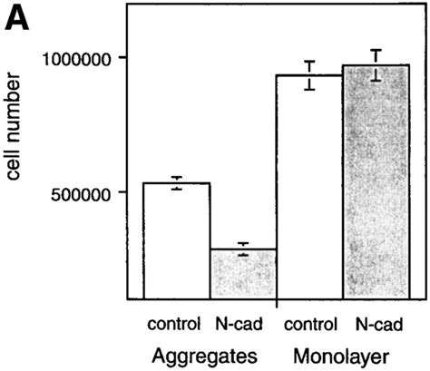 Culturing Bhk Cells In Aggregates Inhibits Their Growth And This