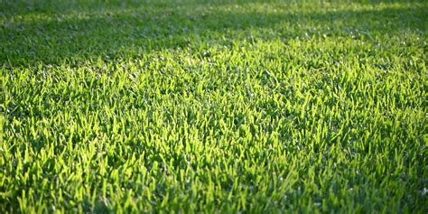 Sustainable Landscaping The Role Of Artificial Turf In Water Conservation Entertainment