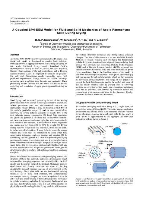 Pdf Modeling Shrinkage Of Apple Cells In Drying