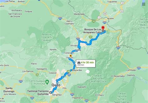 Cómo Llegar Al Bosque De Los Arrayanes En Ecuador Ecuador Noticias