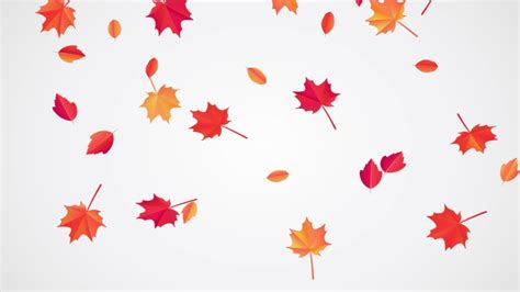 Fall Leaves Falling Animation