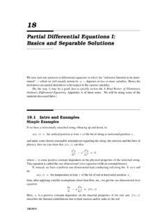 Partial Differential Equations I Basics And Separable Partial Differential Equations I