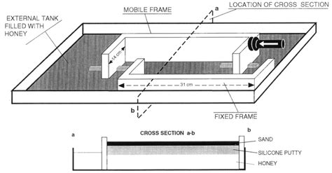 Schematic Plane Of The Experimental Apparatus The Two Layer Model Is Download Scientific