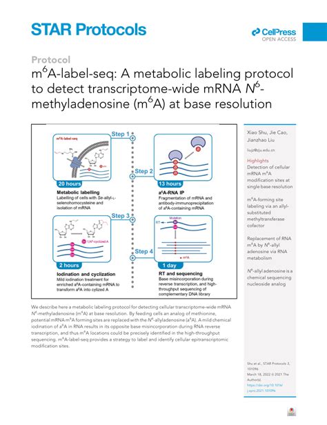 Pdf M6a Label Seq A Metabolic Labeling Protocol To Detect Transcriptome Wide Mrna N6