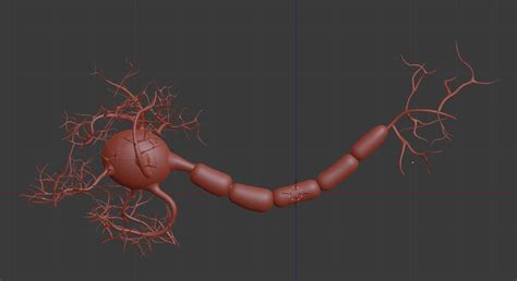 Curve Modifier On An Already Curved Model Modeling Blender Artists Community