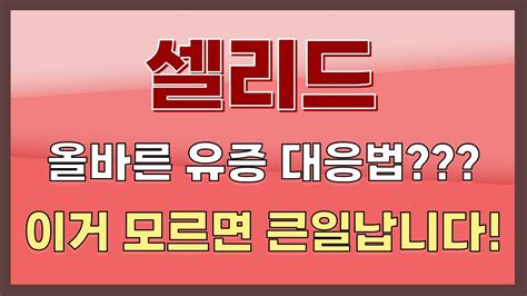 셀리드 올바른 유상증자 대응법 이거 모르면 큰일납니다 Youtube