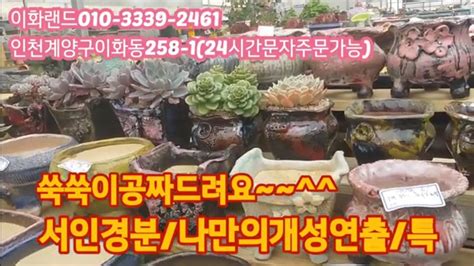 서인경분나만의개성연출특집 다남다육010 3339 2461 Youtube
