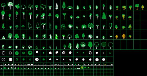 Trees And Bushes 2D DWG Block For AutoCAD Designs CAD