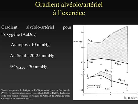 Ppt Diffusion Et Ventilation à Lexercice Powerpoint Presentation