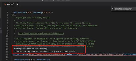 Osdetectedclassifier Cannot Be Resolved · Issue 795 · Redhat Developervscode Java · Github