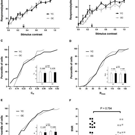 Contrast Response Properties Of Posteromedial Lateral Suprasylvian Download Scientific Diagram