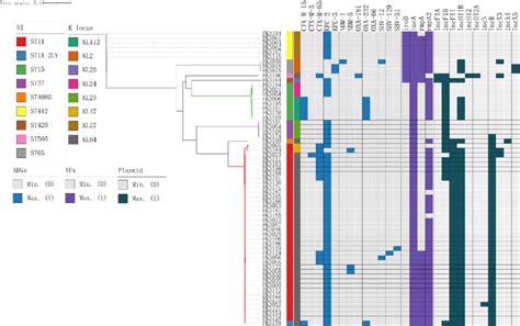 Phylogenetic Tree Based On Core Genome Alignment Of 63 Download Scientific Diagram