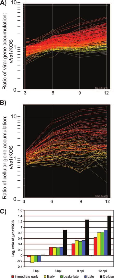Microarray Analysis Of Viral And Cellular Mrna Expression A Line