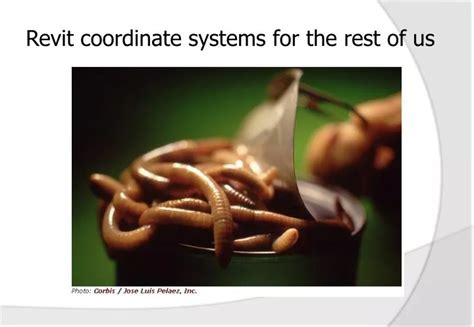 PPT Revit Coordinate Systems For The Rest Of Us PowerPoint Presentation ID