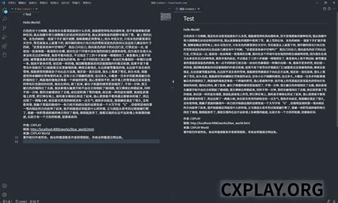将 vs code 打造成一个体验舒适的 markdown 编辑器 cxplay world