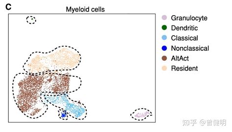 单核巨噬系统这样的髓系免疫细胞命名有点随意了哦 知乎