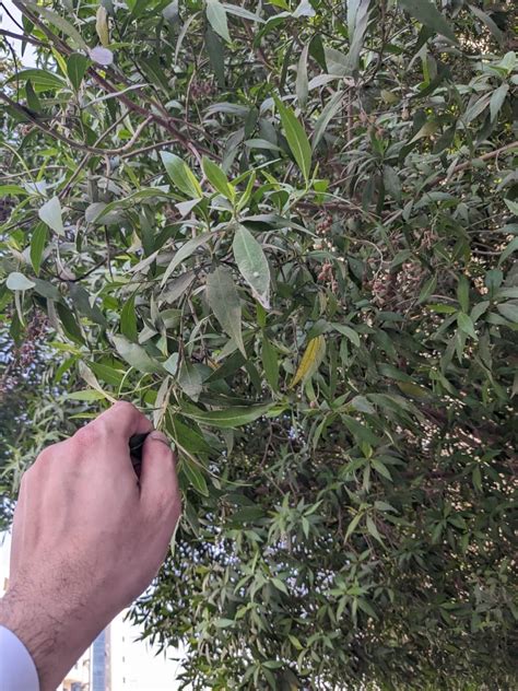 Ai Artificialintelligence Sms Innovation Digitaltransformation