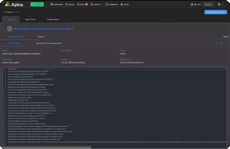 Dynamic Scalability Apica