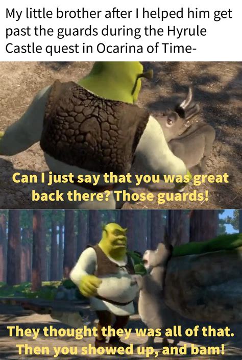 Making A Meme From Every Line In Shrek 2001 Day 46 R Shrekmemes