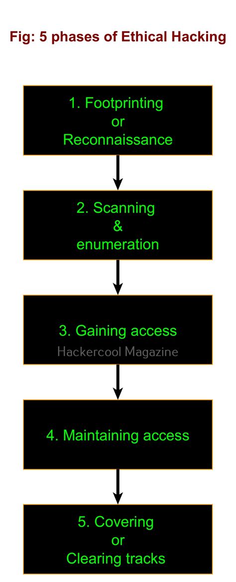 what is ethical hacking what are 5 phases of ethical hacking