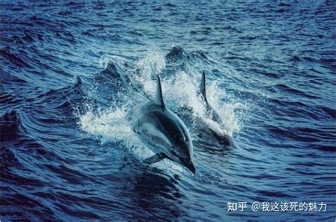 腾讯云架构师出品的《mysql性能优化和高可用架构实践》针不戳 知乎