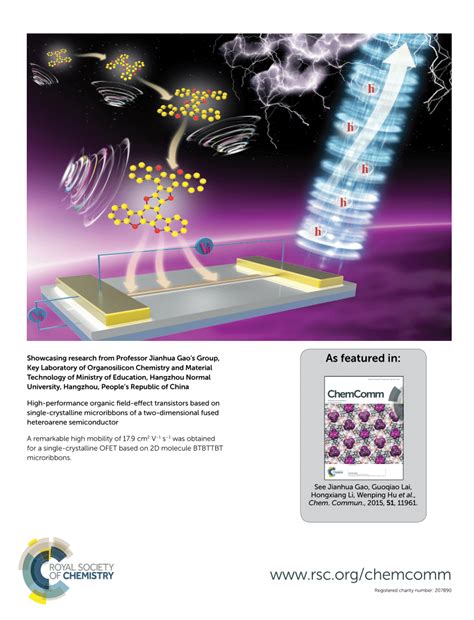 Pdf High Performance Organic Field Effect Transistors Based On Single