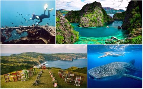 Home Netifly Online Booking And Ticketing Services