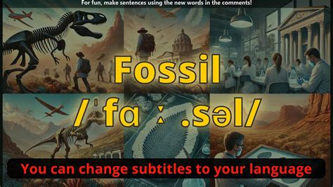 [n] Fossil Meaning With 5 Examples Youtube