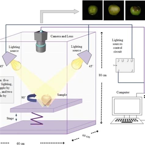 Diagram Of The Proposed Classifier Model Download Scientific Diagram
