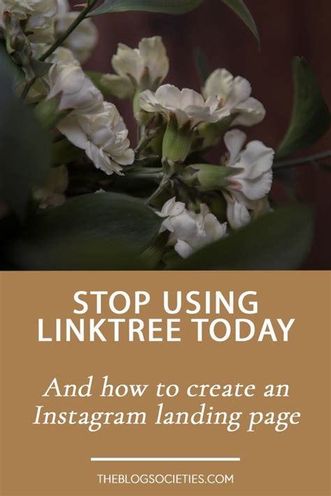 Stop Using LinkTree Today, Here's How | The Blog Societies | Landing page, Instagram insights ...