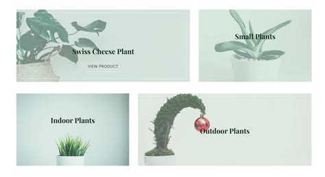 15 Best Divi Plugins In 2025 Top Choices