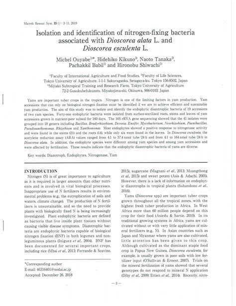 Pdf Nitrogen Fixing Bacteria Of Yam Dioscorea Spp Water Yam And Lesser Yam