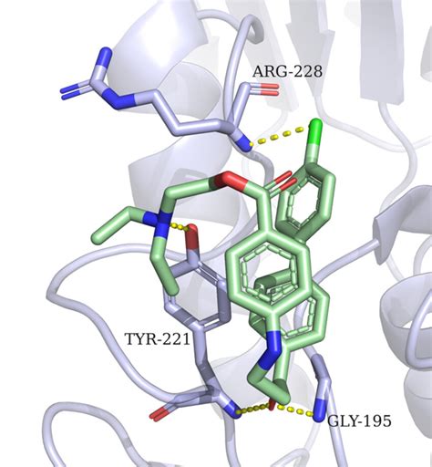 conformation of compound 2b with the lowest energy in the most