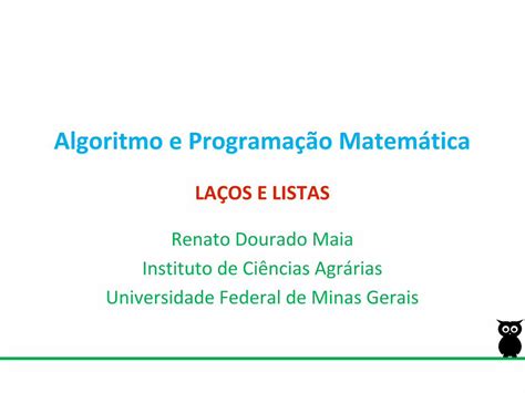 pdf algoritmo e programação matemática