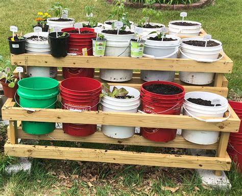 Bucket Gardening Ray S Rambling