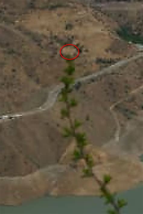 Removal Of Unwanted Object Dxo Photolab Dxo Forums