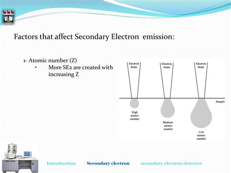 Ppt Secondary Electron D Etector Powerpoint Presentation Free