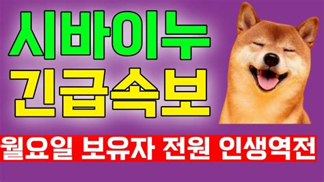 시바이누 코인 보유하신분은 월요일 전원 인생역전 갑니다 시바이누코인 Youtube